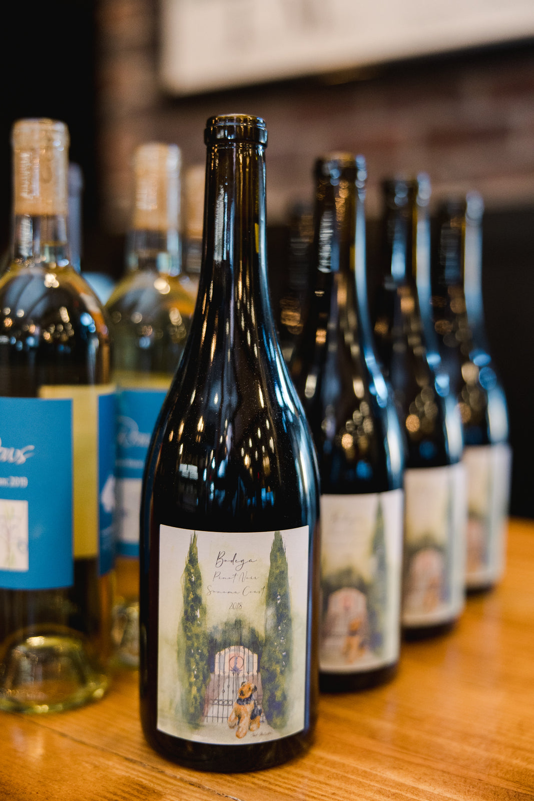 Bodega Ultima – Kat McCall Papers