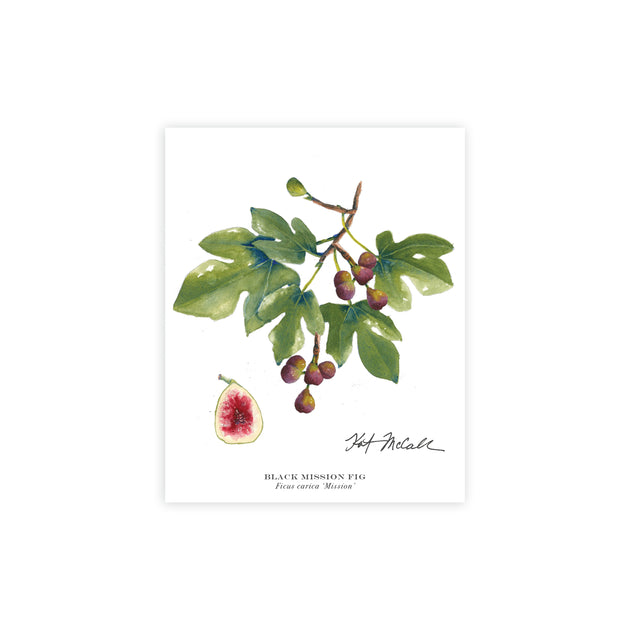 All Prints – Page 2 – Kat McCall Papers