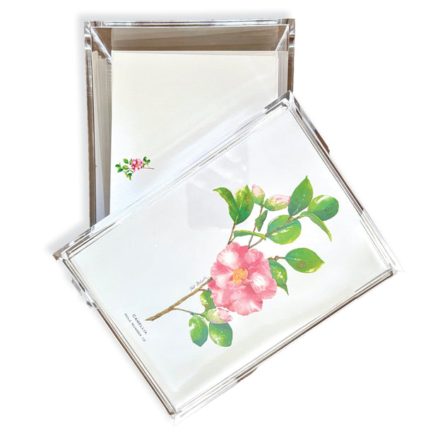 Gifts – Kat McCall Papers